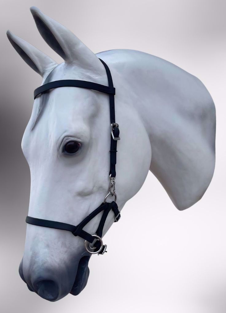 Moss Rock Endurance-Sidepull