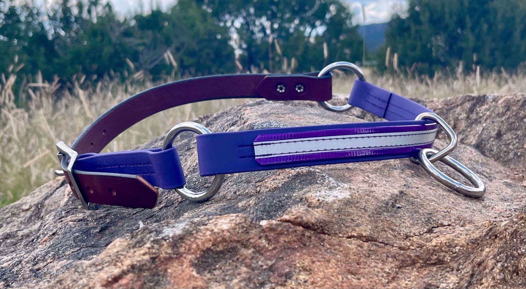 Moss Rock Endurance-Horse Neck Collar with Leather Breakaway Strap Moss Rock Endurance-Horse Neck Collar with Leather Breakaway Strap