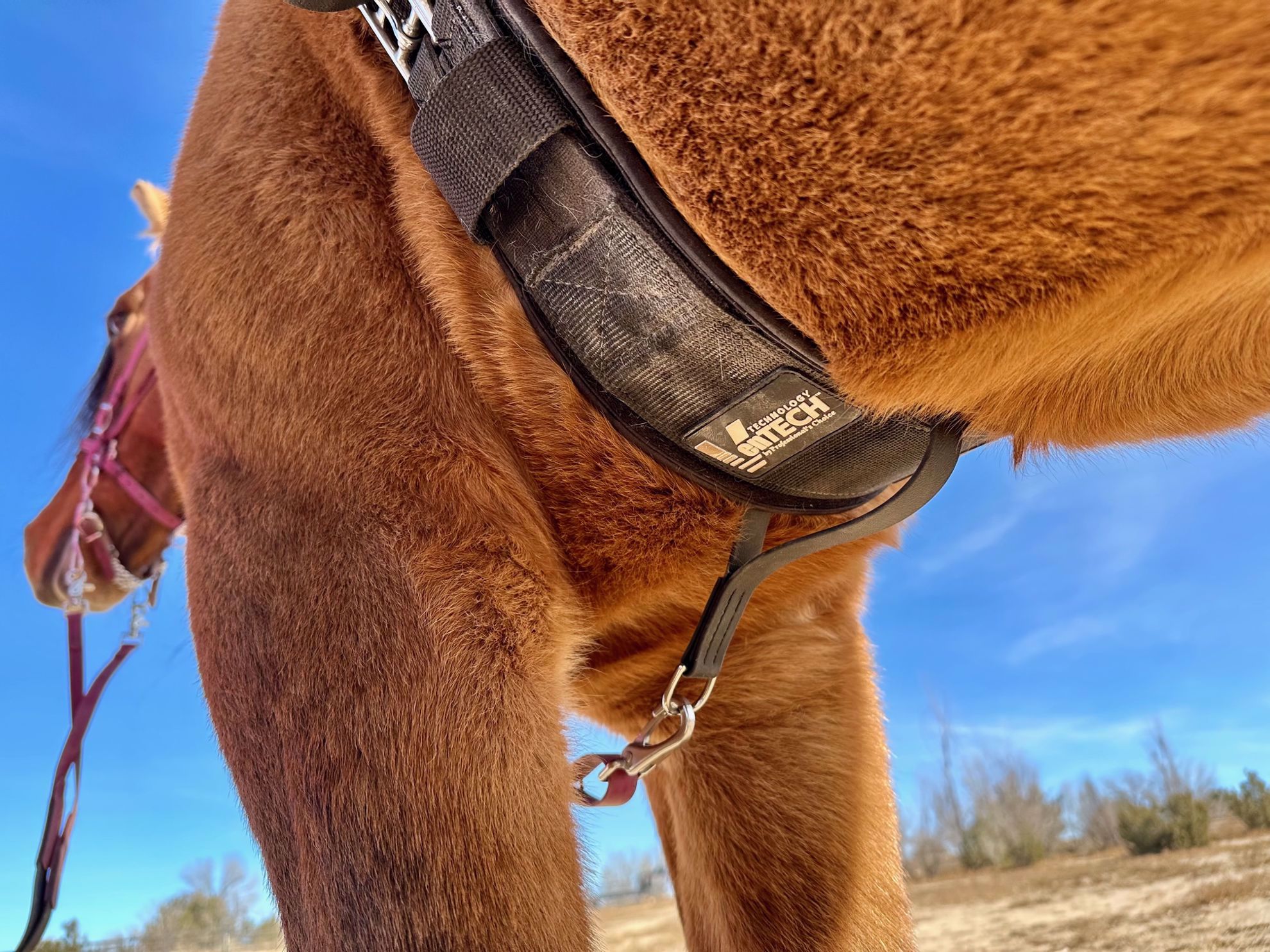 Moss Rock Endurance-Girth Loop