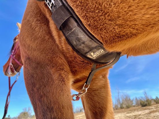 Moss Rock Endurance-Girth Loop