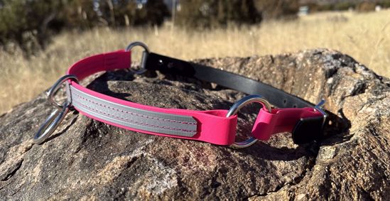 Moss Rock Endurance-Horse Neck Collar with Leather Breakaway Strap