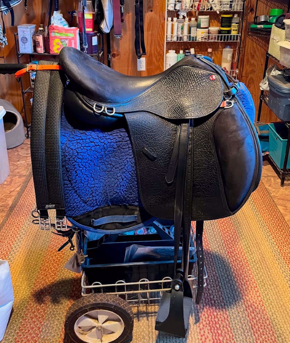 Moss Rock Endurance-Arabian Solstice Saddle, SOLD!