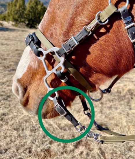 Moss Rock Endurance-Slobber Straps